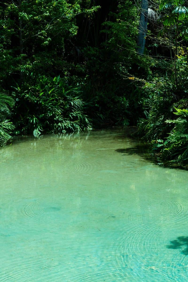 Pools and Ponds: - Santuário - Landscape Design